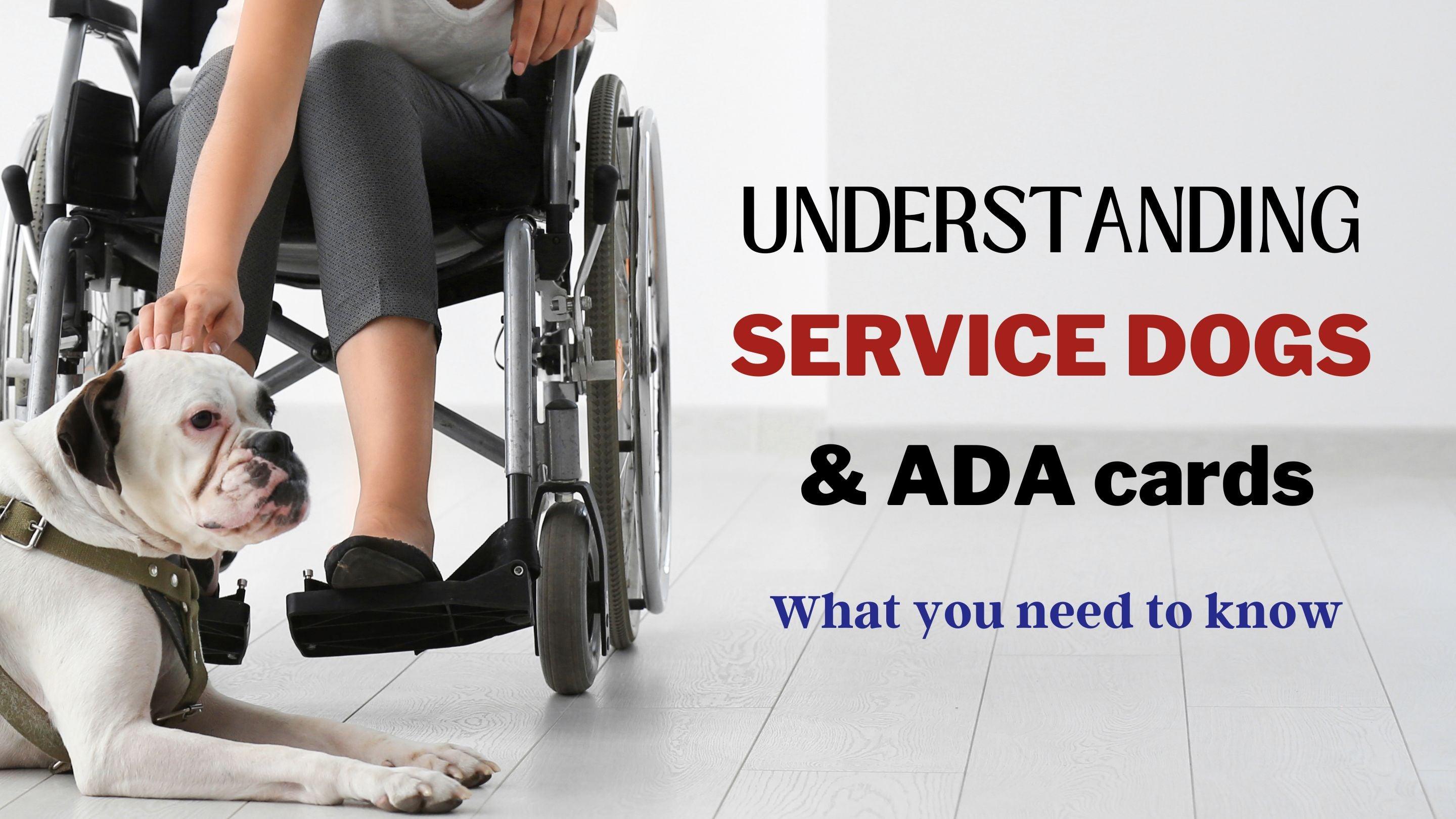 Understanding Service Dogs and ADA Cards – Simple Desert Designs