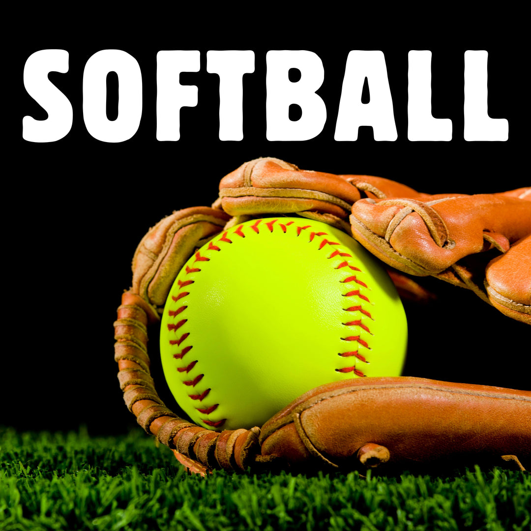 Softball Fundraiser Ideas | Simple Desert Designs