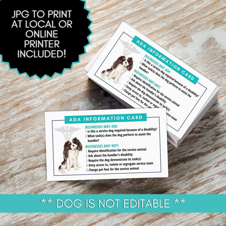 Cavalier King Charles Service Dog Cards Customizable | Simple Desert ...